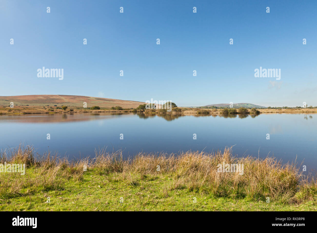 Gower peninsula cefn bryn hi-res stock photography and images - Alamy
