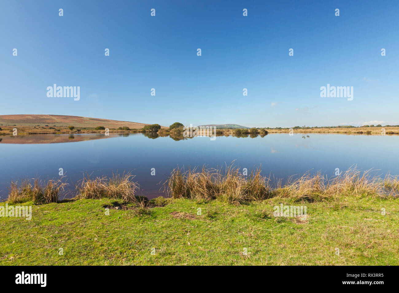 Gower peninsula cefn bryn hi-res stock photography and images - Alamy