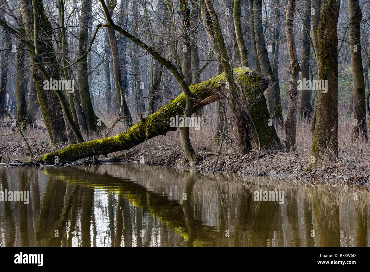 Falling in mud hi-res stock photography and images - Alamy