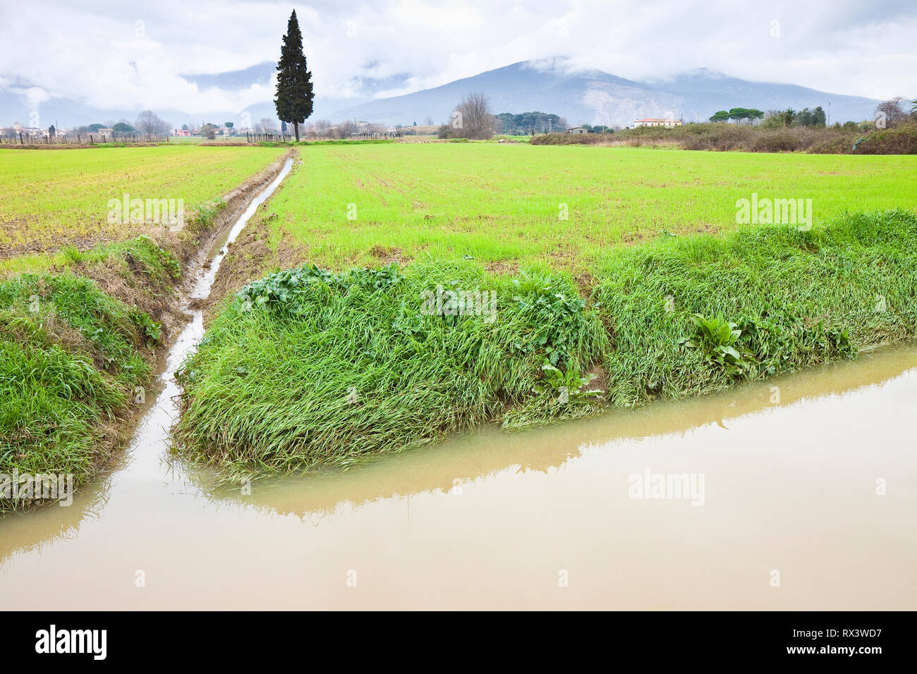 Field grass mud ditch hi-res stock photography and images - Alamy