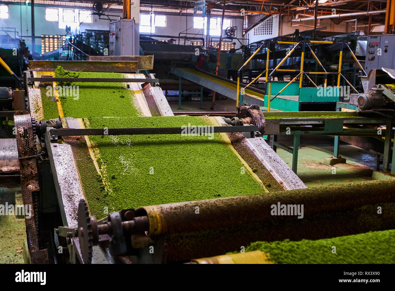 Kenya, Kericho county, Kericho, Momul tea factory of Kenya Tea ...