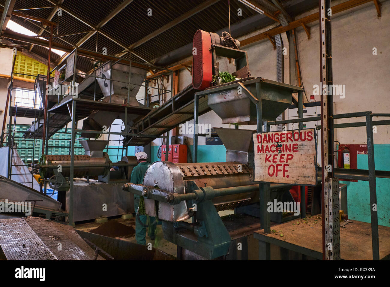Kenya, Kericho county, Kericho, Momul tea factory of Kenya Tea ...