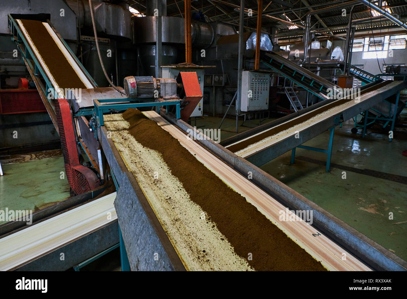 Kenya, Kericho county, Kericho, Momul tea factory of Kenya Tea ...