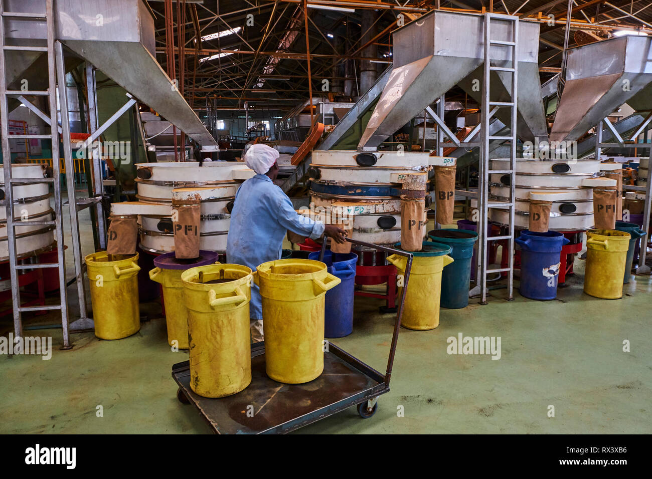 Kenya, Kericho county, Kericho, Momul tea factory of Kenya Tea ...