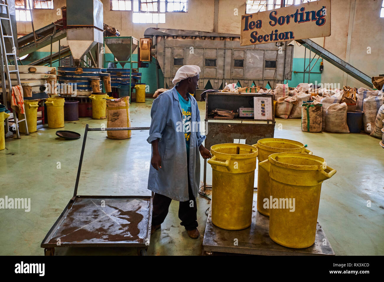 Kenya, Kericho county, Kericho, Momul tea factory of Kenya Tea ...