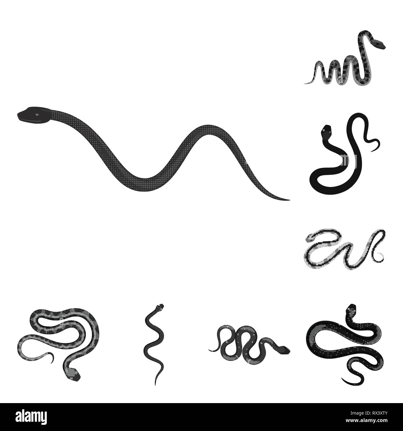 snake,viper,amphibian,tail,python,wild,anaconda,threat,forest,tropics ...