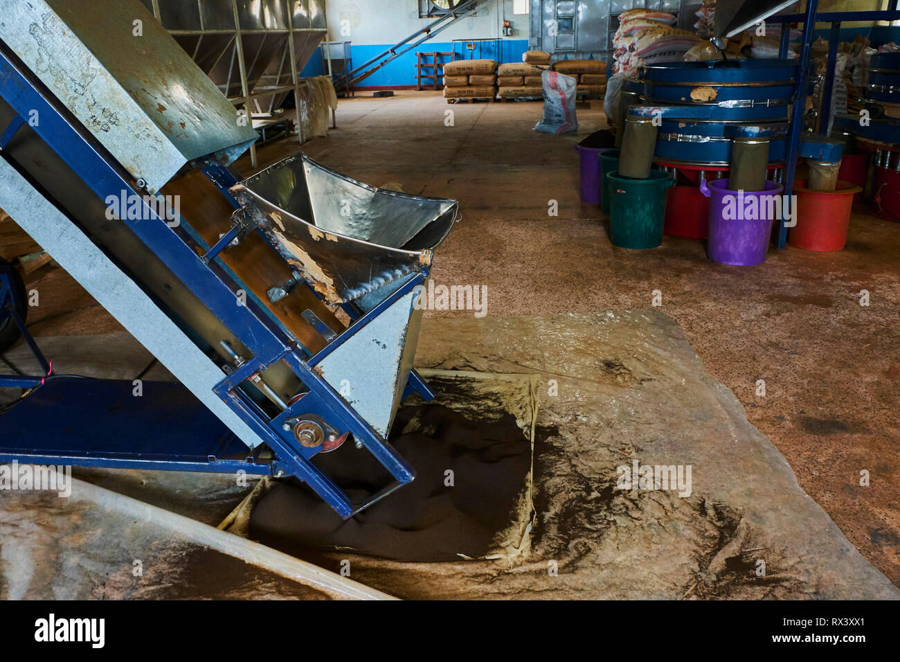Kenya, Kericho county, Kericho, Tilya tea factory Stock Photo - Alamy