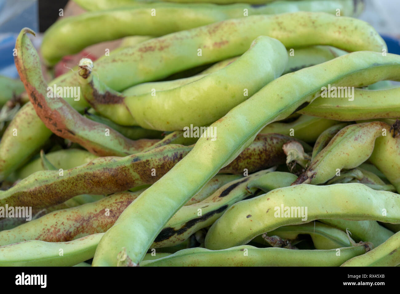 group of fresh flat beans on market Stock Photo - Alamy