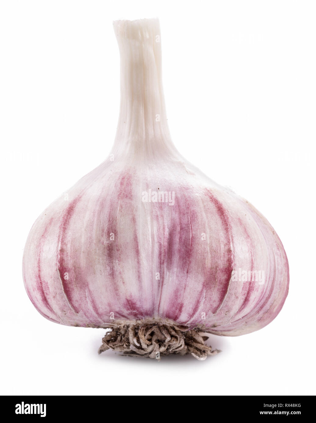Garlic bulb isolated on white background Stock Photo - Alamy