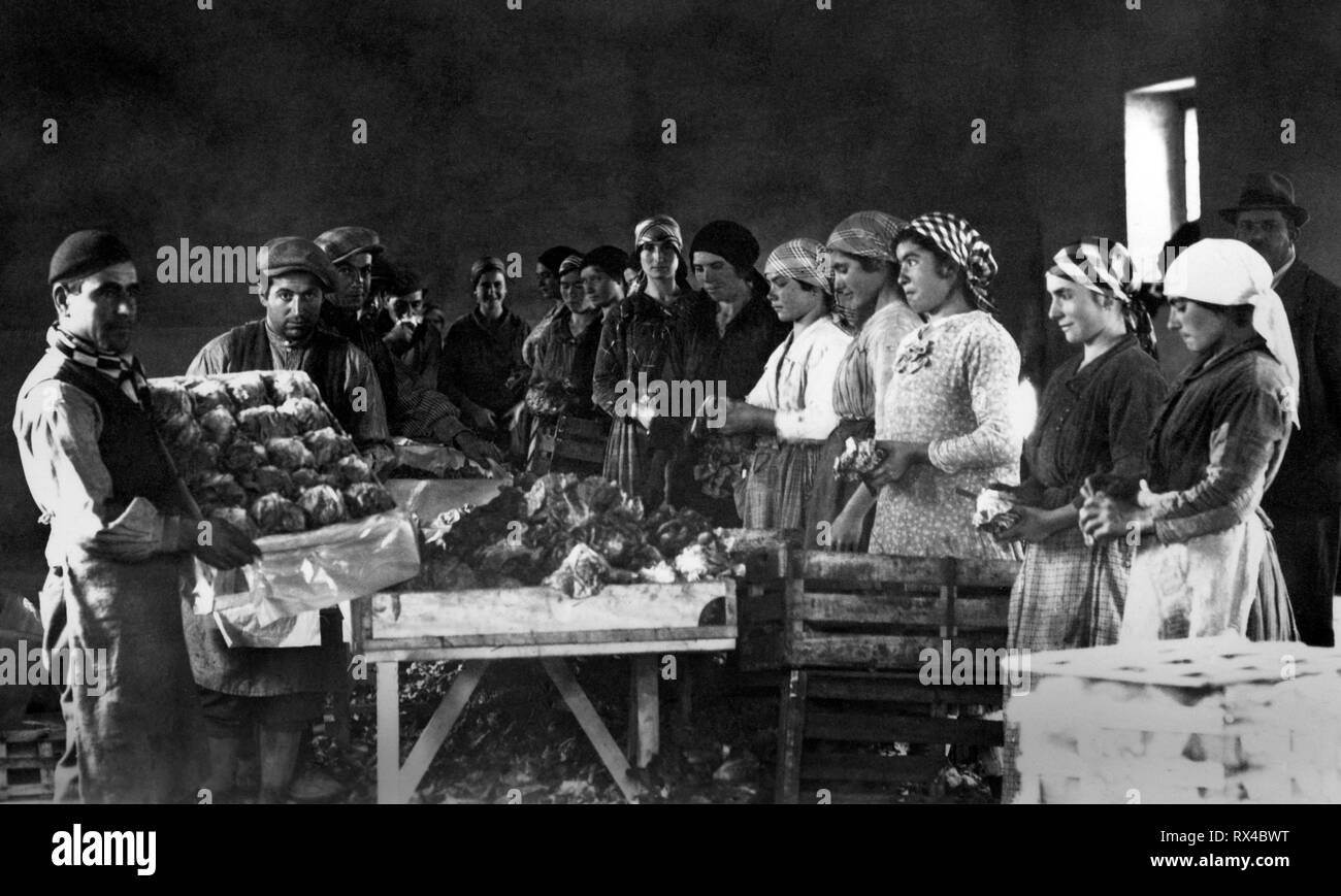 Sibari calabria hi-res stock photography and images - Alamy