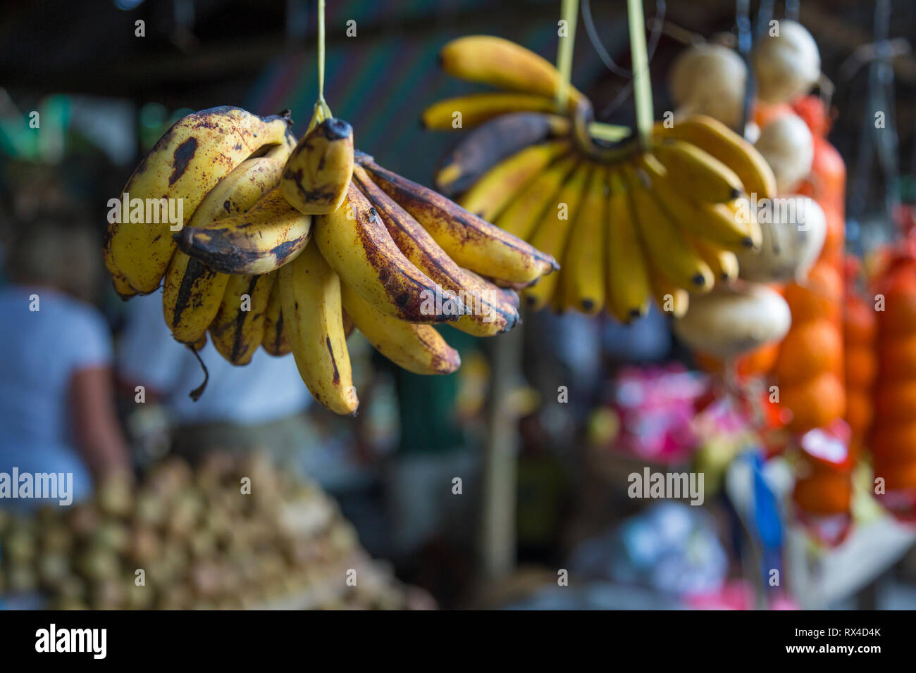 Bananas from the Philippines Stock Photo - Alamy