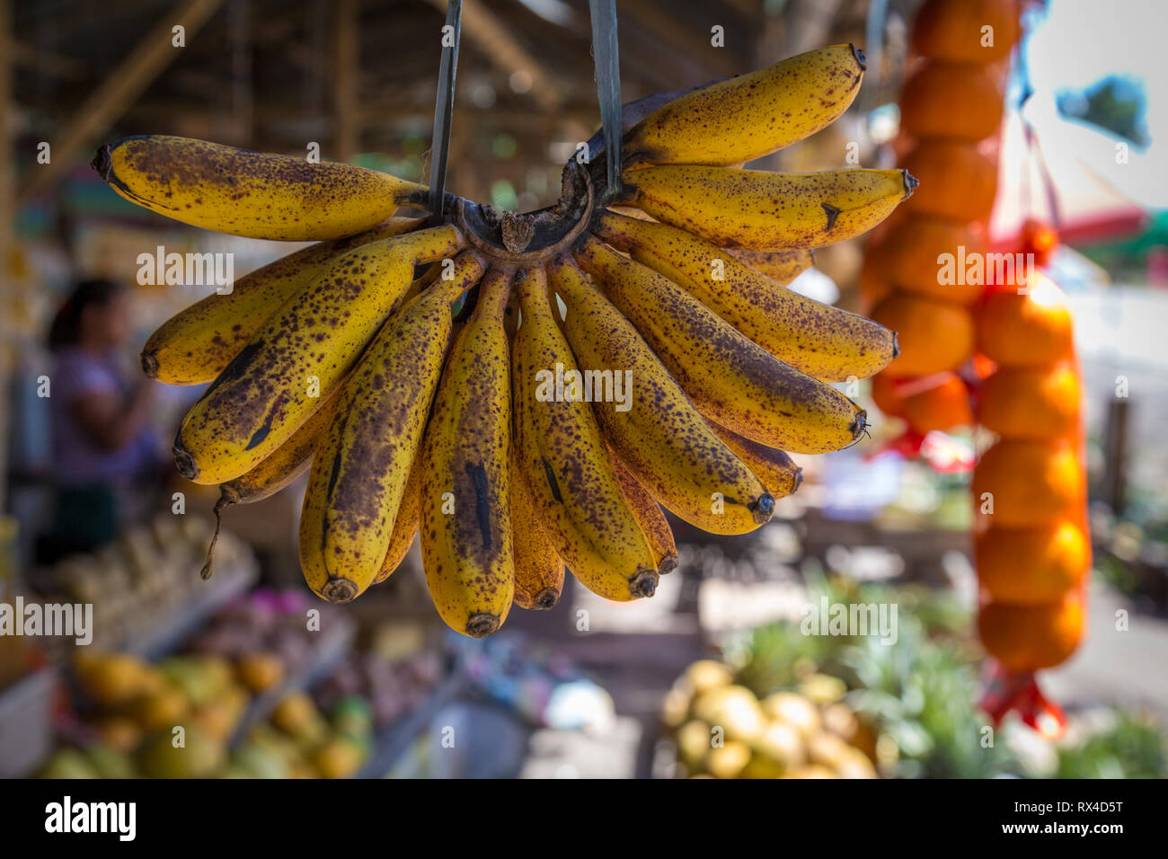 Bananas from the Philippines Stock Photo - Alamy