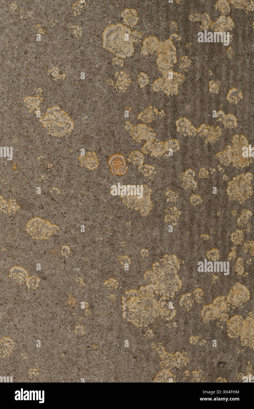 Exterior wall texture with stains Stock Photo - Alamy