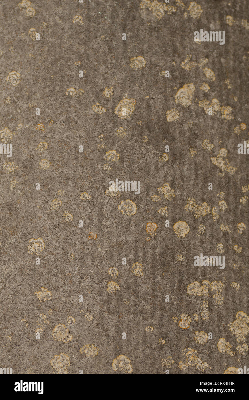 Overgrowth pattern texture abstract hi-res stock photography and images ...