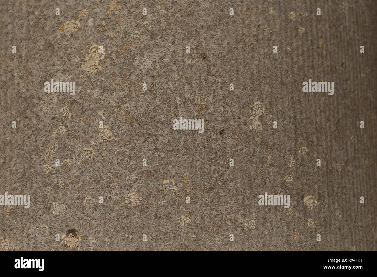 Exterior wall texture hi-res stock photography and images - Alamy