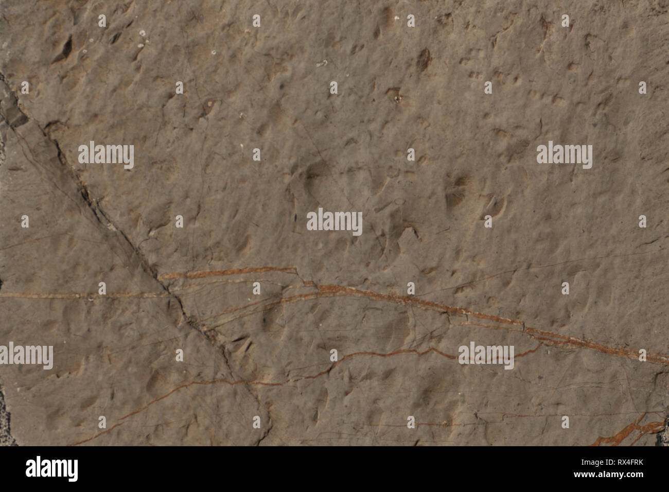 Wall Cladding Stone Texture Seamless 07755