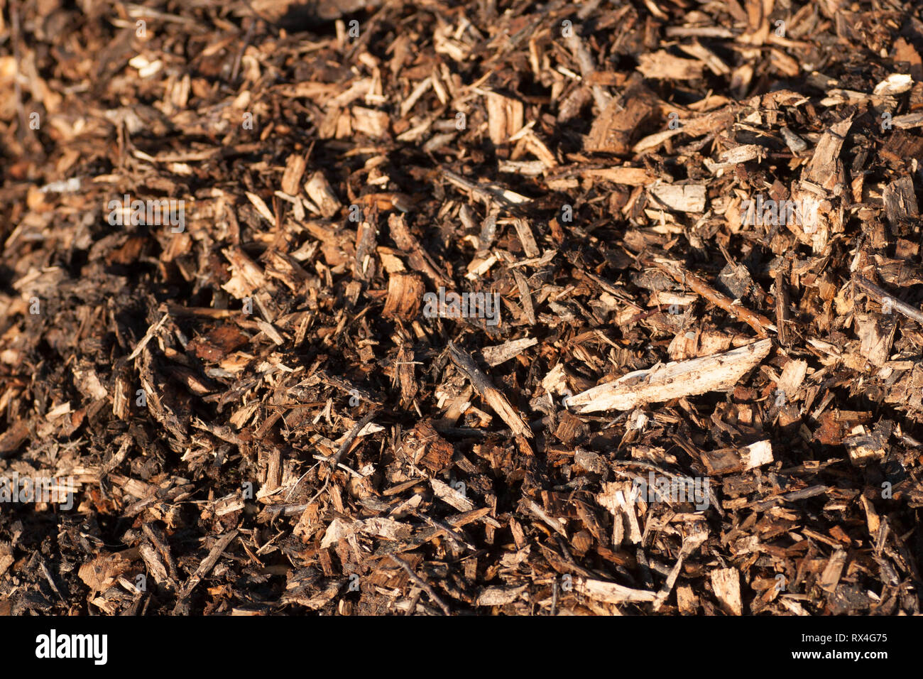 Bark mulch texture hi-res stock photography and images - Alamy
