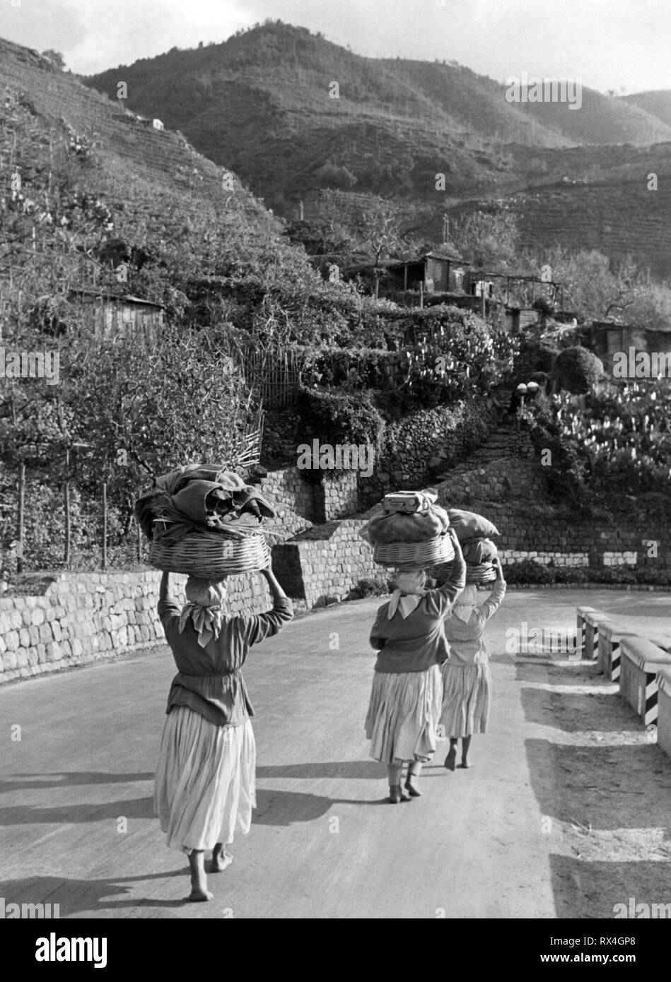farmers, bagnara calabra, calabria, italy, 1955 Stock Photo - Alamy