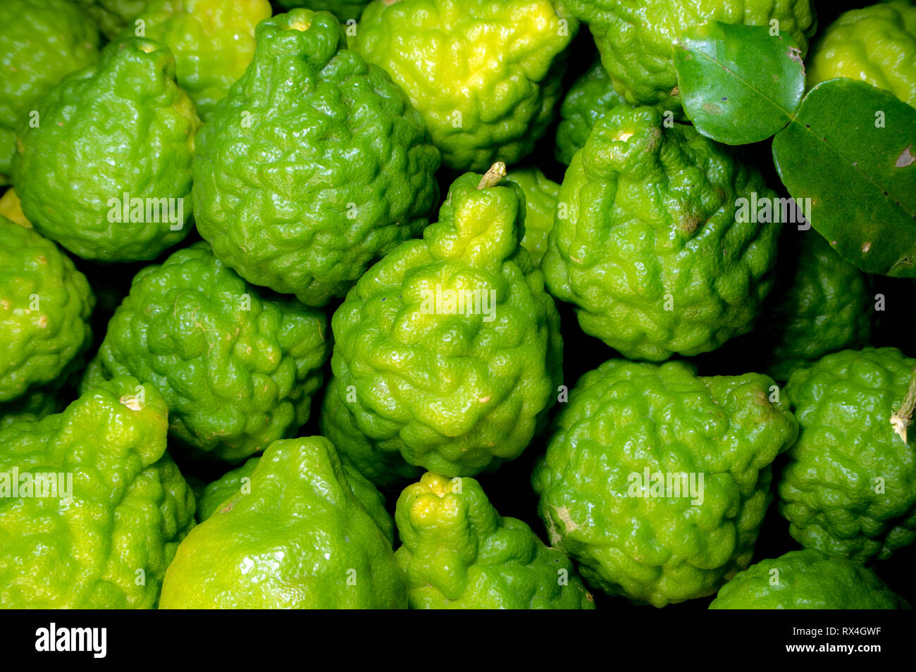 freshness Bergamot Peel shiny green on black background Stock Photo - Alamy