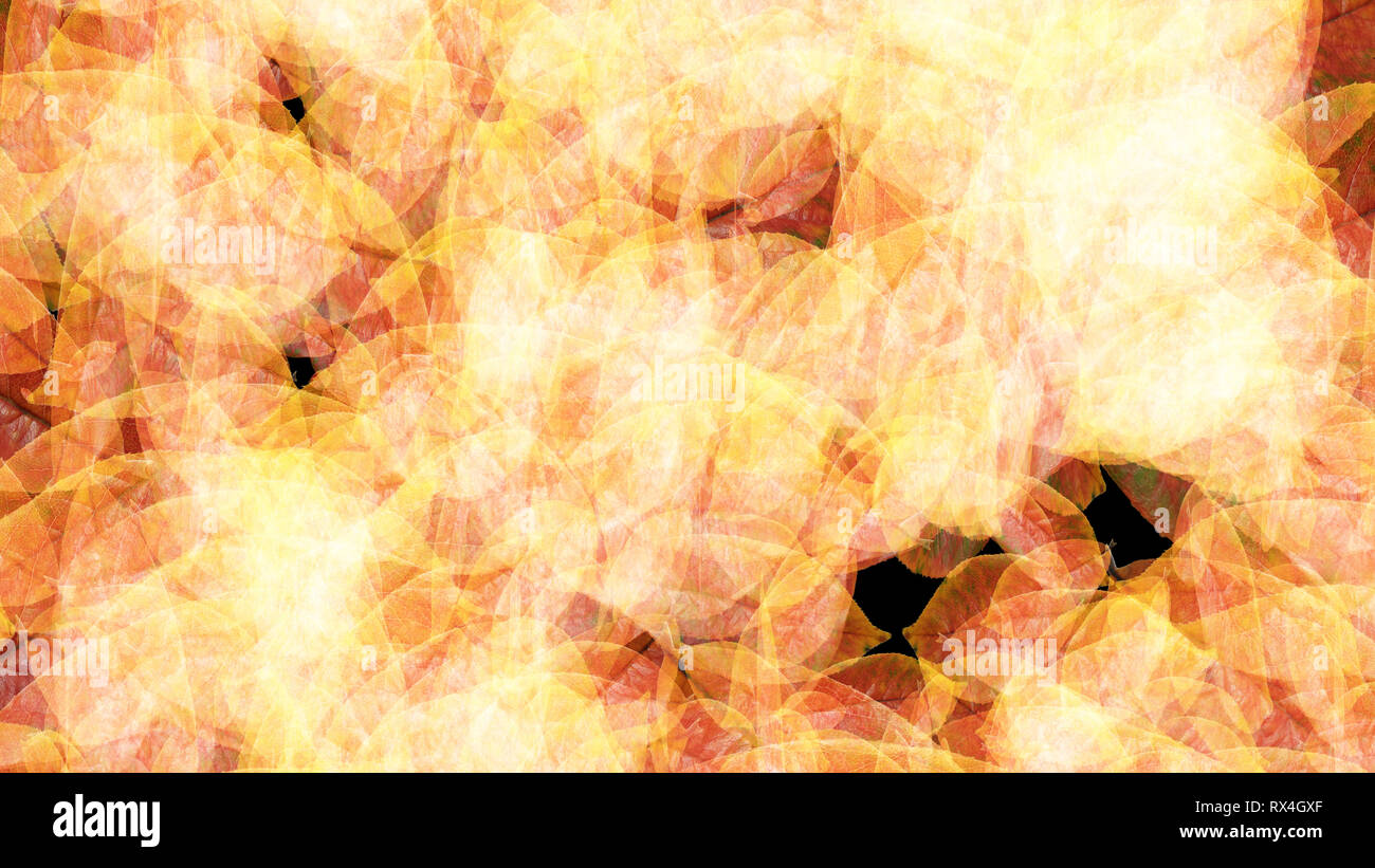 The leaves overlay on the grand with srong light like fire Stock Photo ...