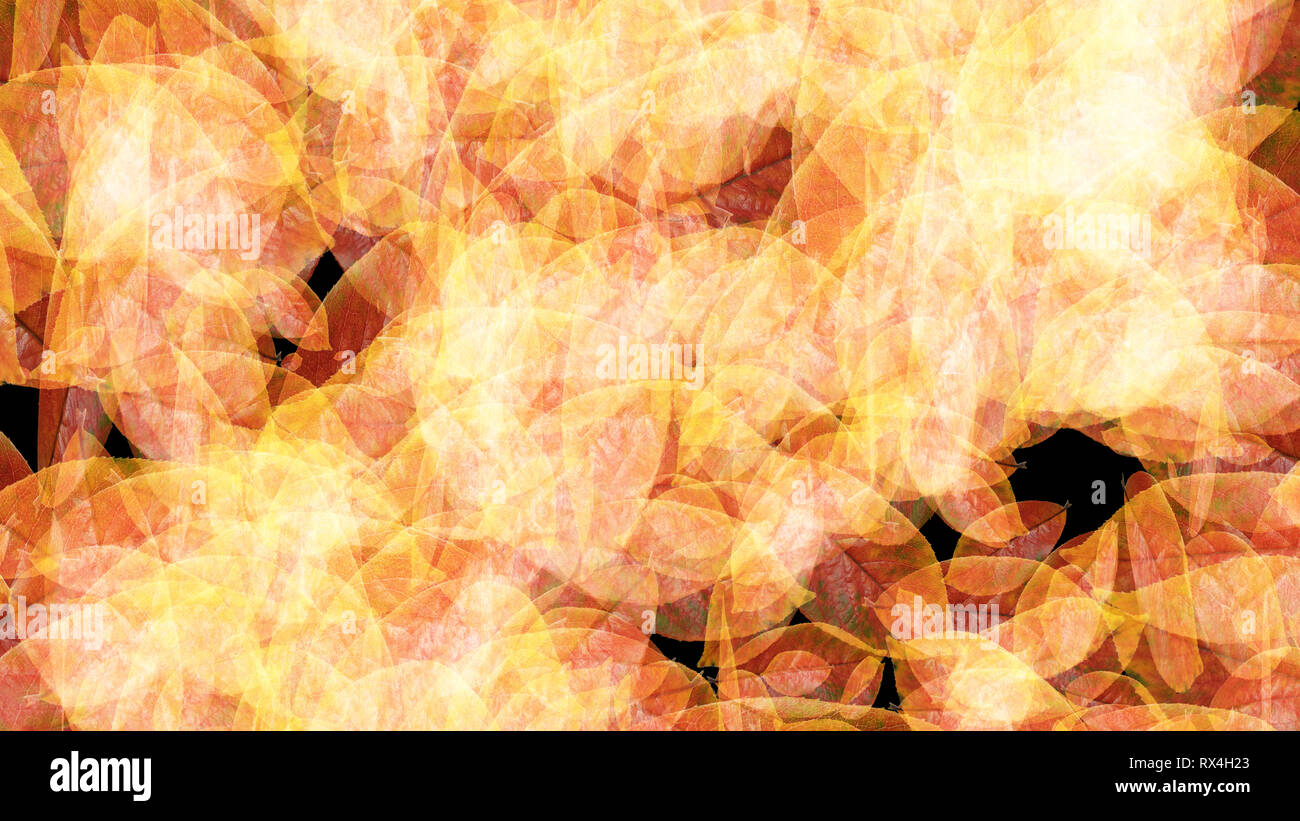 The leaves overlay on the grand with srong light like fire Stock Photo ...