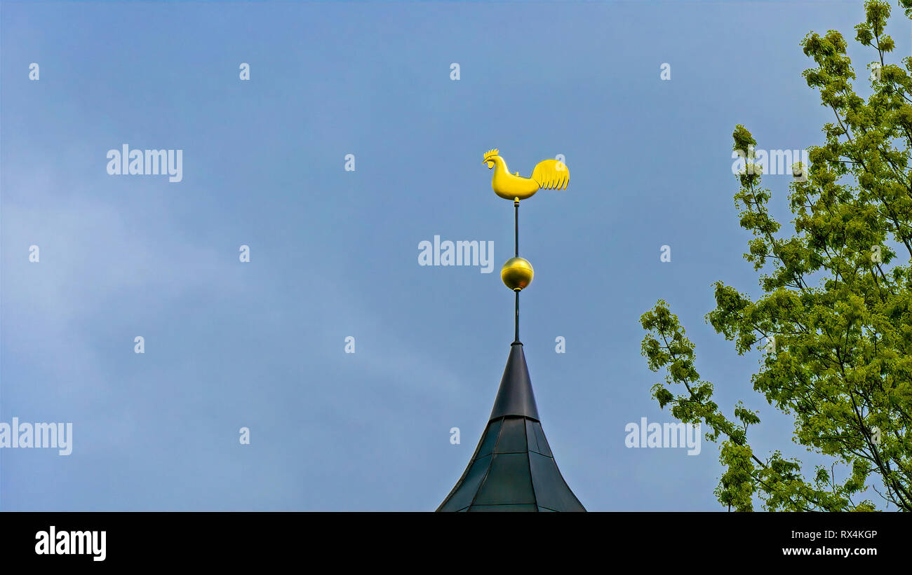 Chicken statue hi-res stock photography and images - Alamy