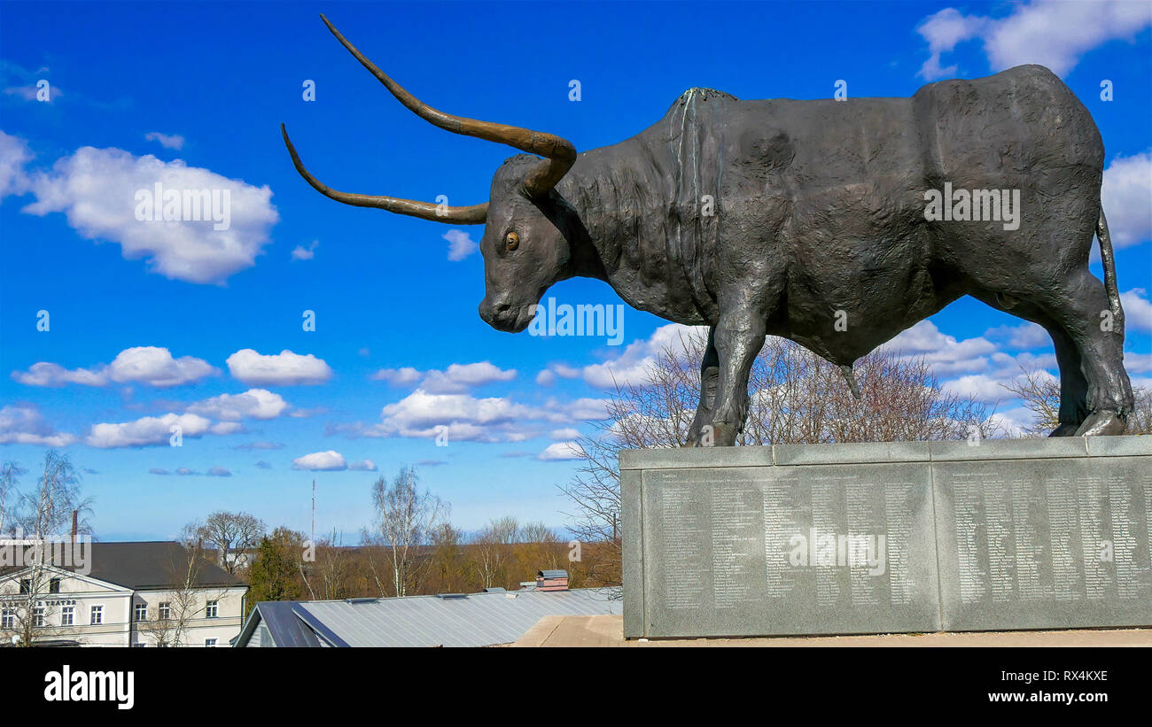 Wild ox hi-res stock photography and images - Alamy