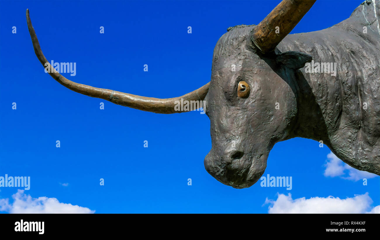 The head of the Bos primigenius animal statue. The aurochs statue is ...