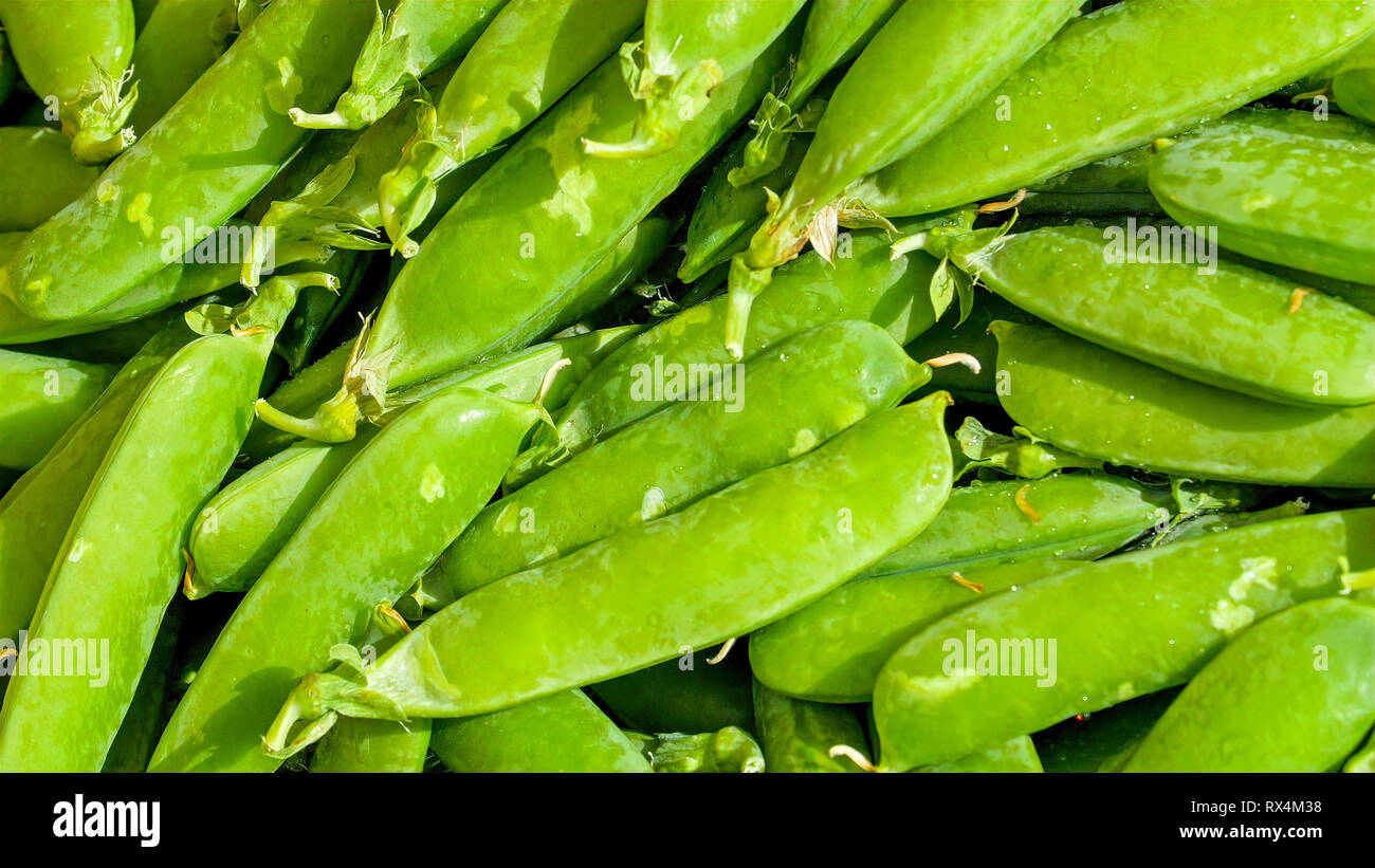 Green fresh peas on display. The pea is most commonly the small ...