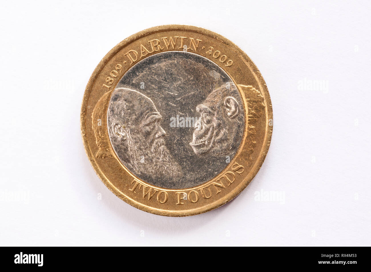 Darwin £2 two pound coin isolated on white background Stock Photo - Alamy