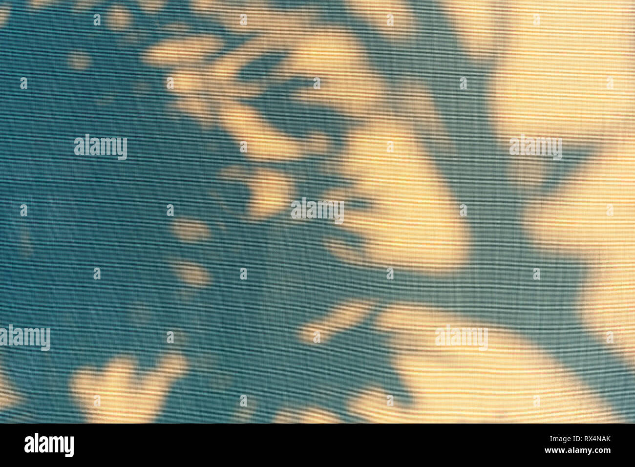 Abstract shadow background of natural leaves tree branch falling on ...