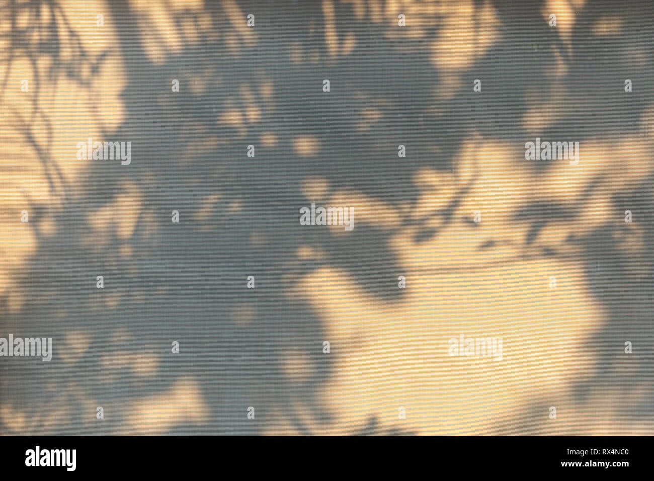 Abstract shadow background of natural leaves tree branch falling on ...