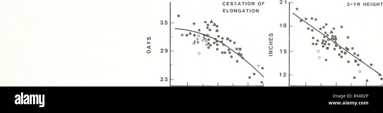 Ecological genetics of Pinus contorta Stock Photo - Alamy