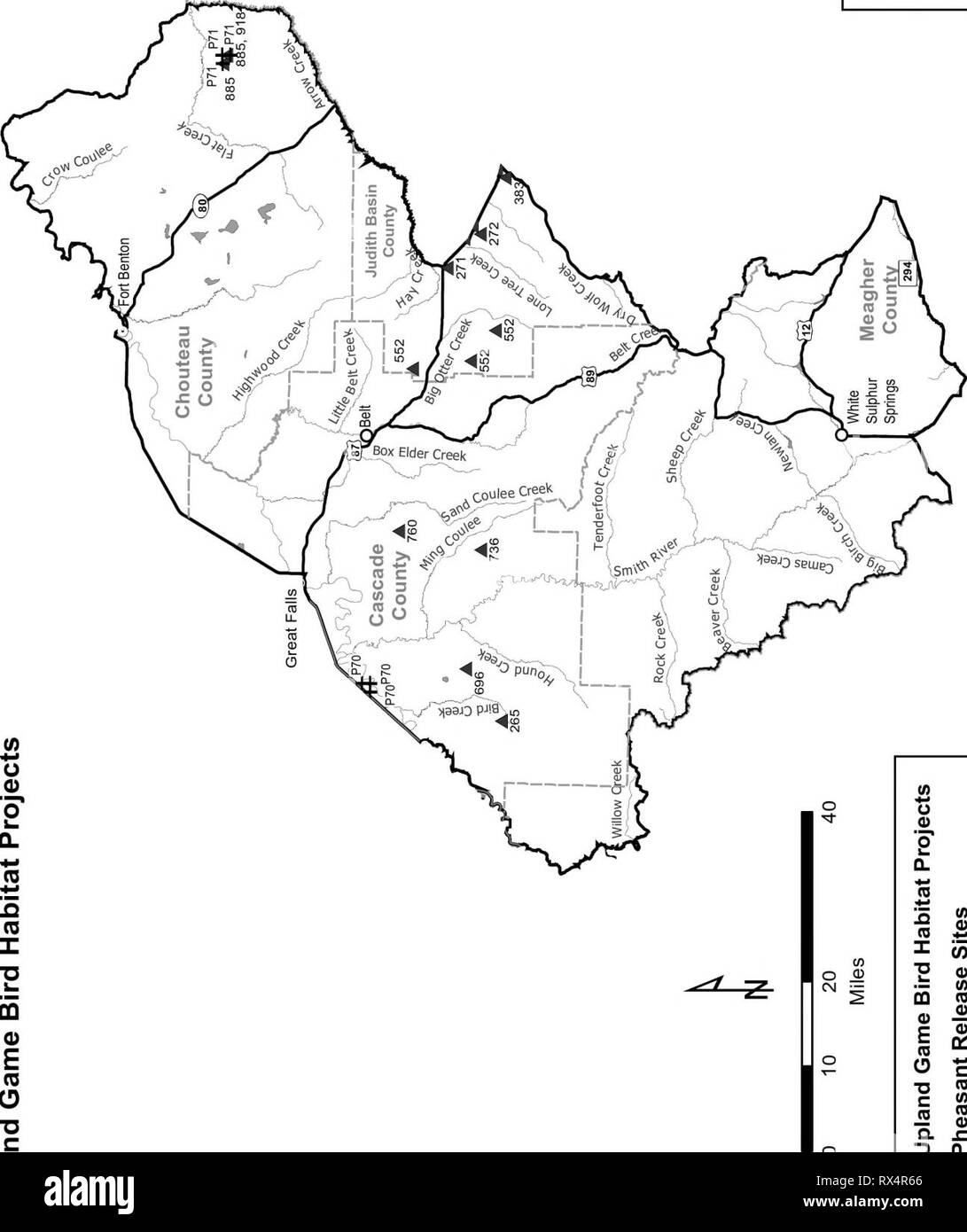 Access guide upland game bird Stock Photo - Alamy