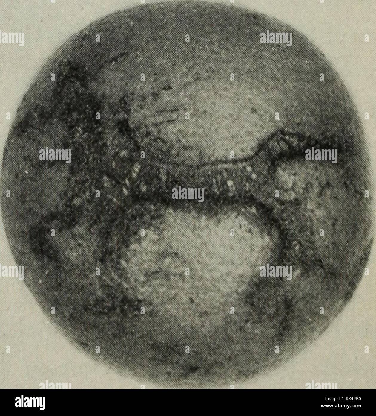 The effects of desiccating winds Stock Photo - Alamy