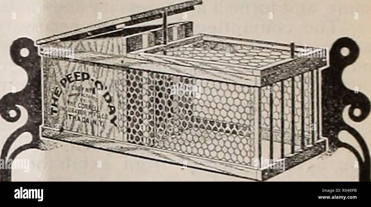 The Eastern poultryman (1904 Stock Photo - Alamy