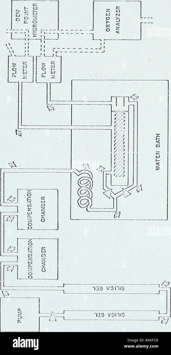 The ecological and physiological control Stock Photo - Alamy