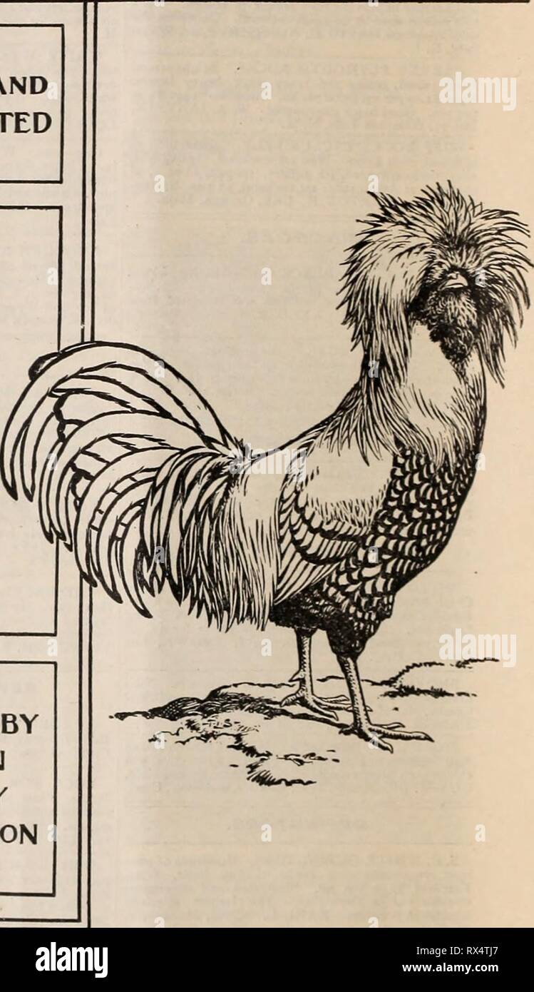 The Eastern poultryman (1905 Stock Photo - Alamy