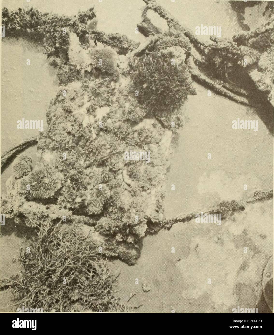 Effects of deep- and shallow-ocean Stock Photo - Alamy