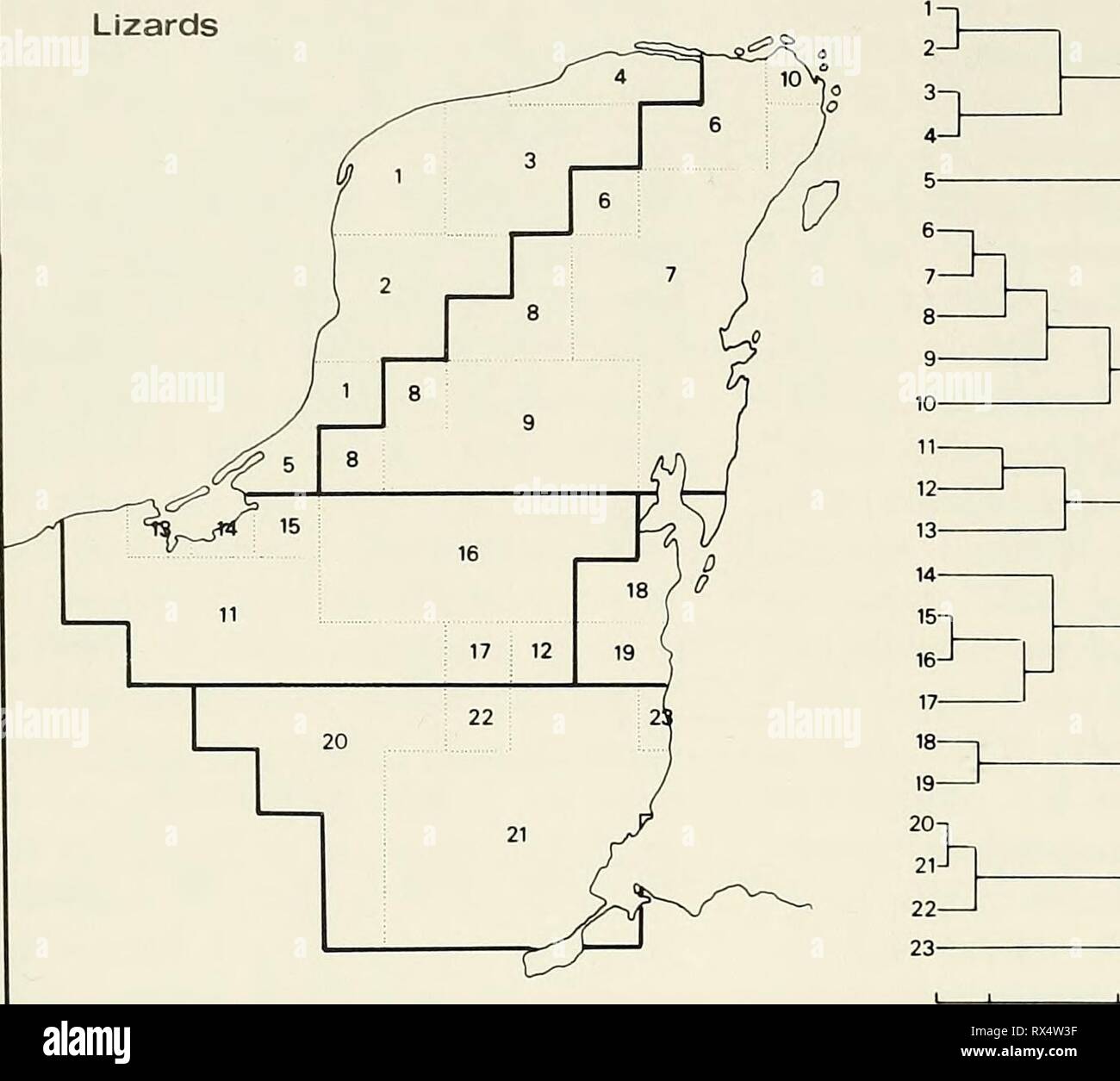 An Ecogeographic Analysis Of The An Ecogeographic Analysis Of The