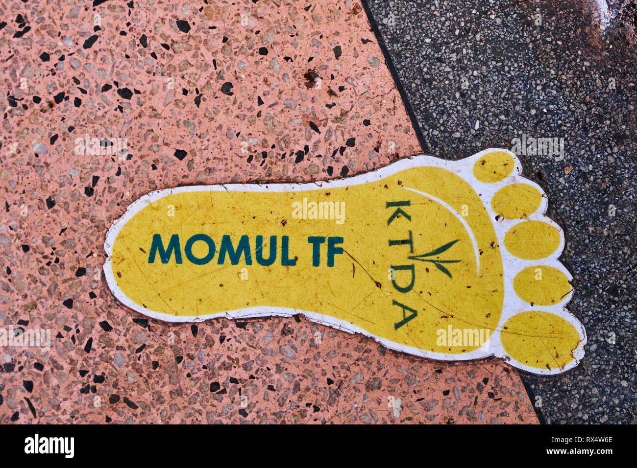 Kenya, Kericho county, Kericho, Momul tea factory of Kenya Tea ...