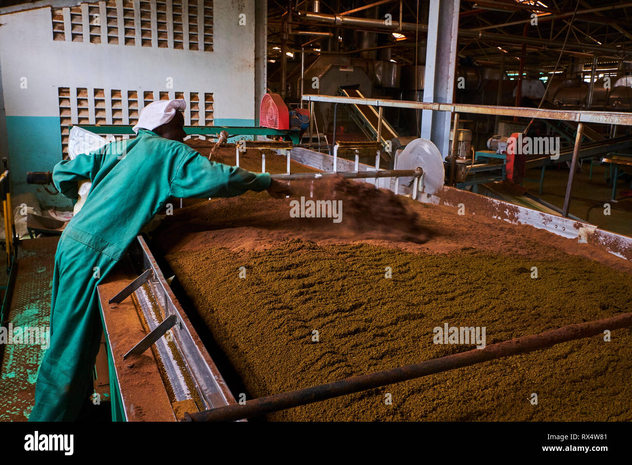 Kenya, Kericho county, Kericho, Momul tea factory of Kenya Tea ...