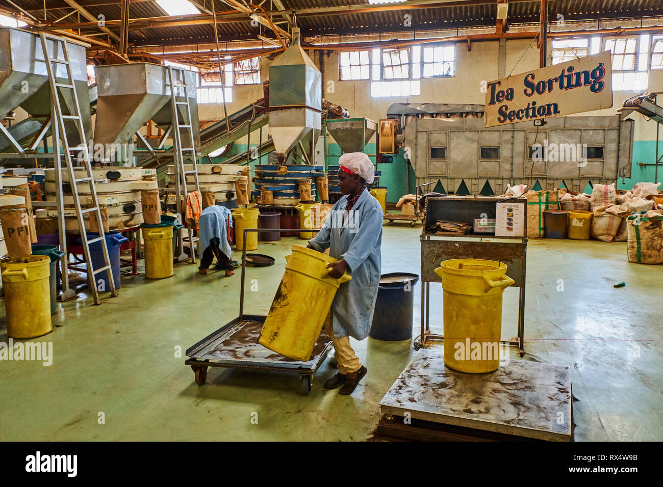 Kenya, Kericho county, Kericho, Momul tea factory of Kenya Tea ...