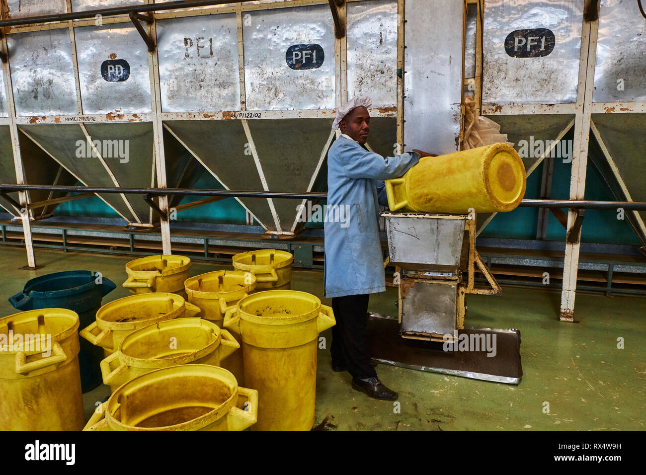 Kenya, Kericho county, Kericho, Momul tea factory of Kenya Tea ...