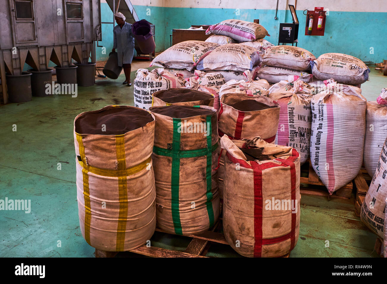 Kenya, Kericho county, Kericho, Momul tea factory of Kenya Tea ...