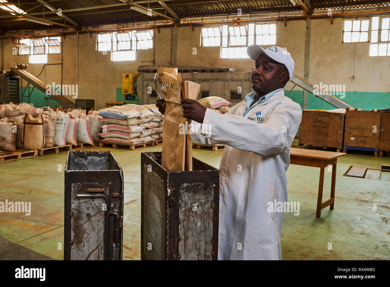 Kenya, Kericho county, Kericho, Momul tea factory of Kenya Tea ...