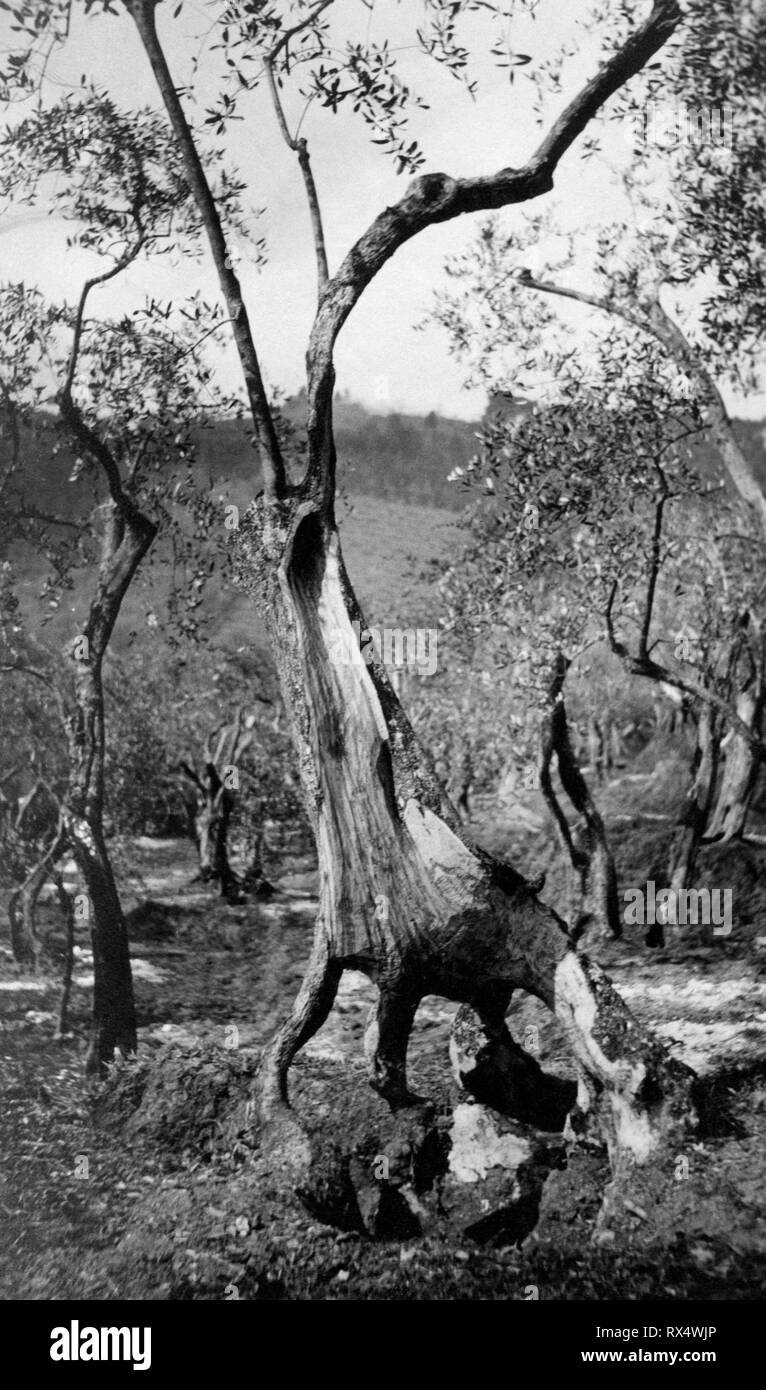 Slotting Black and White Stock Photos & Images - Alamy