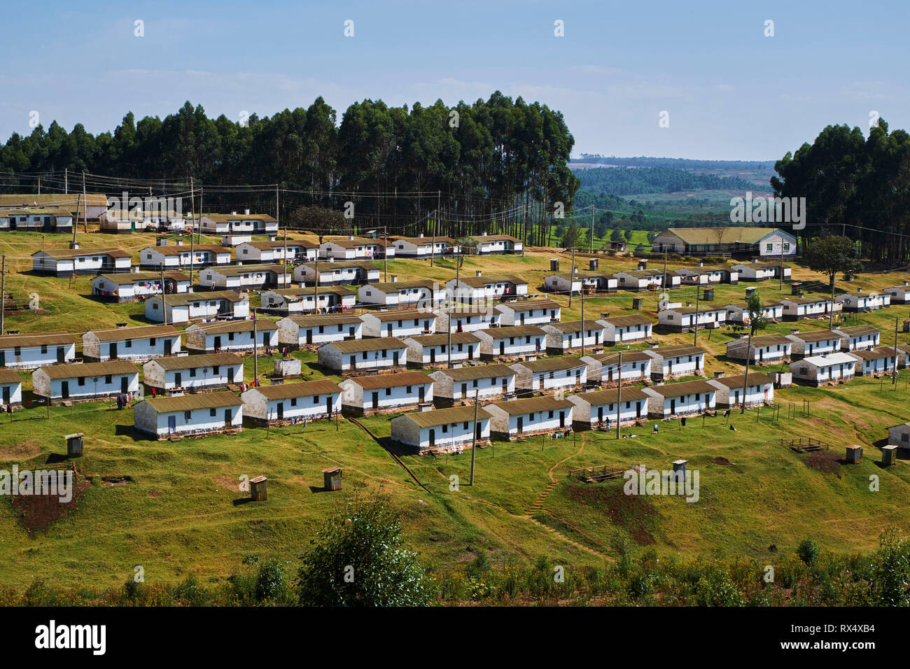 Kenya, Kericho county, Kericho, tea picker village Stock Photo - Alamy