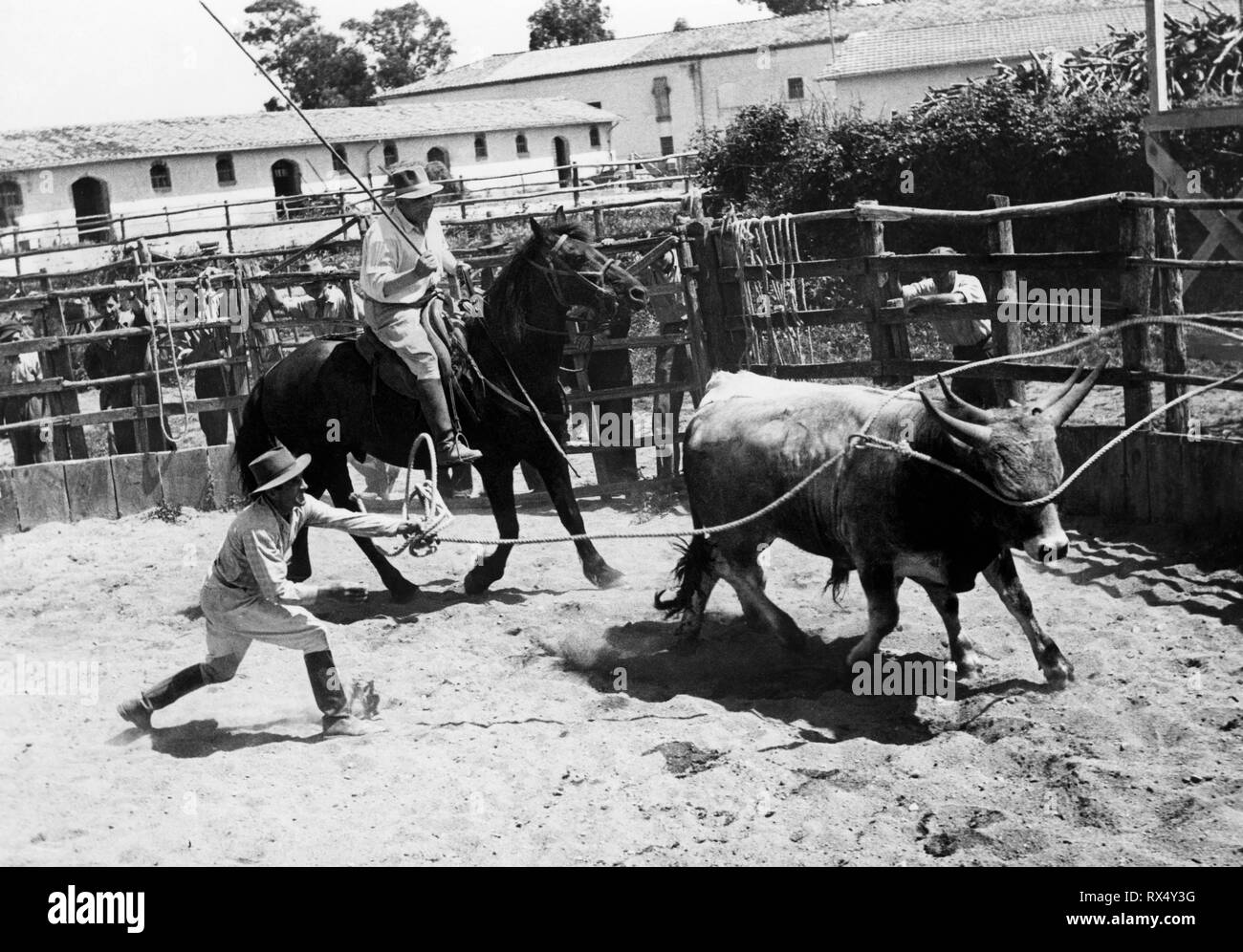 20th century cowboys hi-res stock photography and images - Alamy