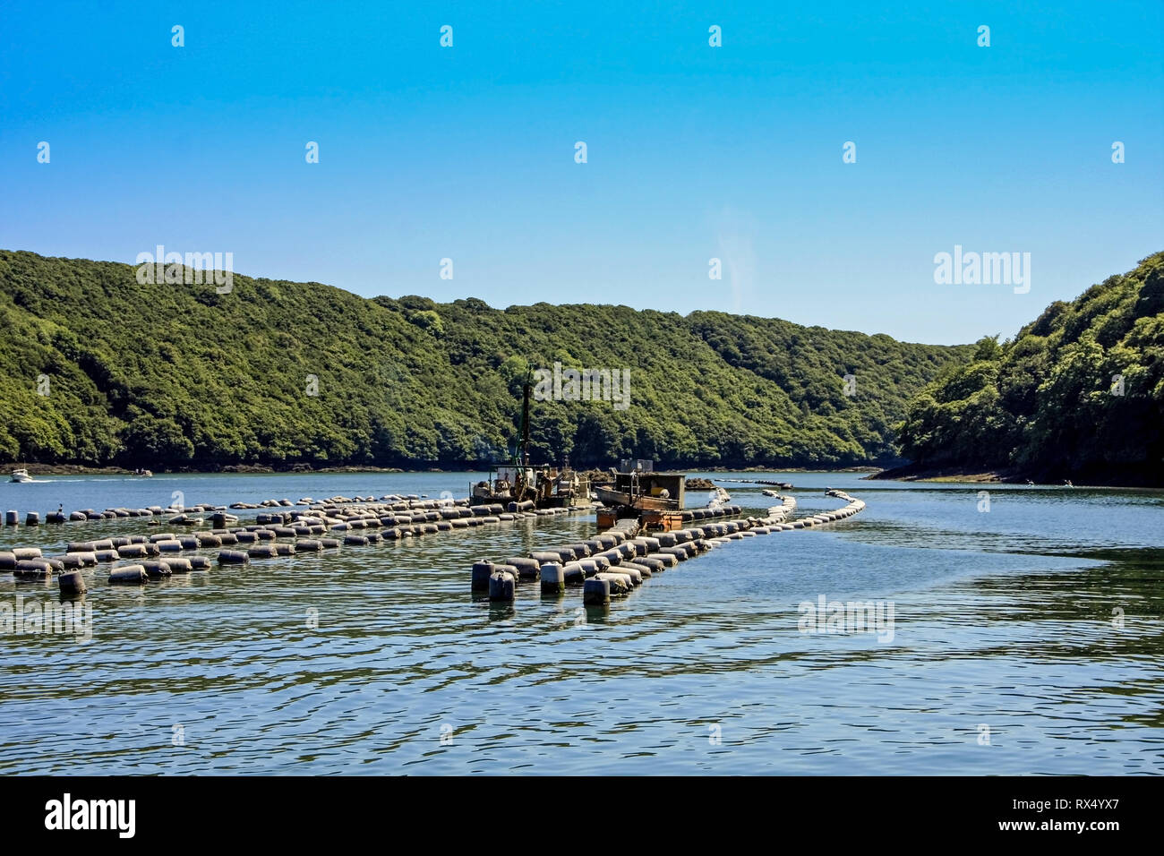 Fish farming in cornwall hi-res stock photography and images - Alamy